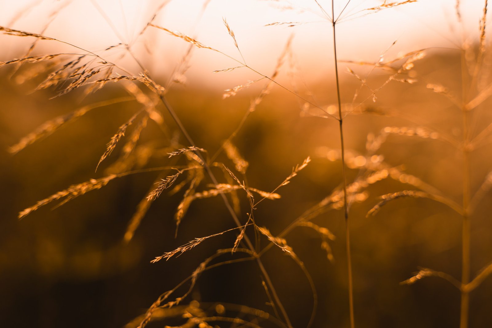 What is “Natural Meditation” and why its body-first approach does ...